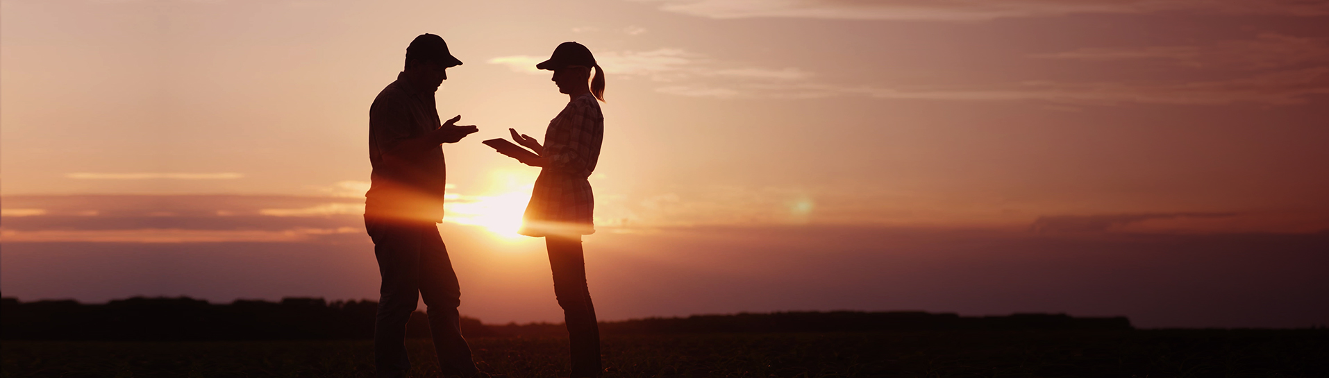 Page d’accueil - MG Consultants